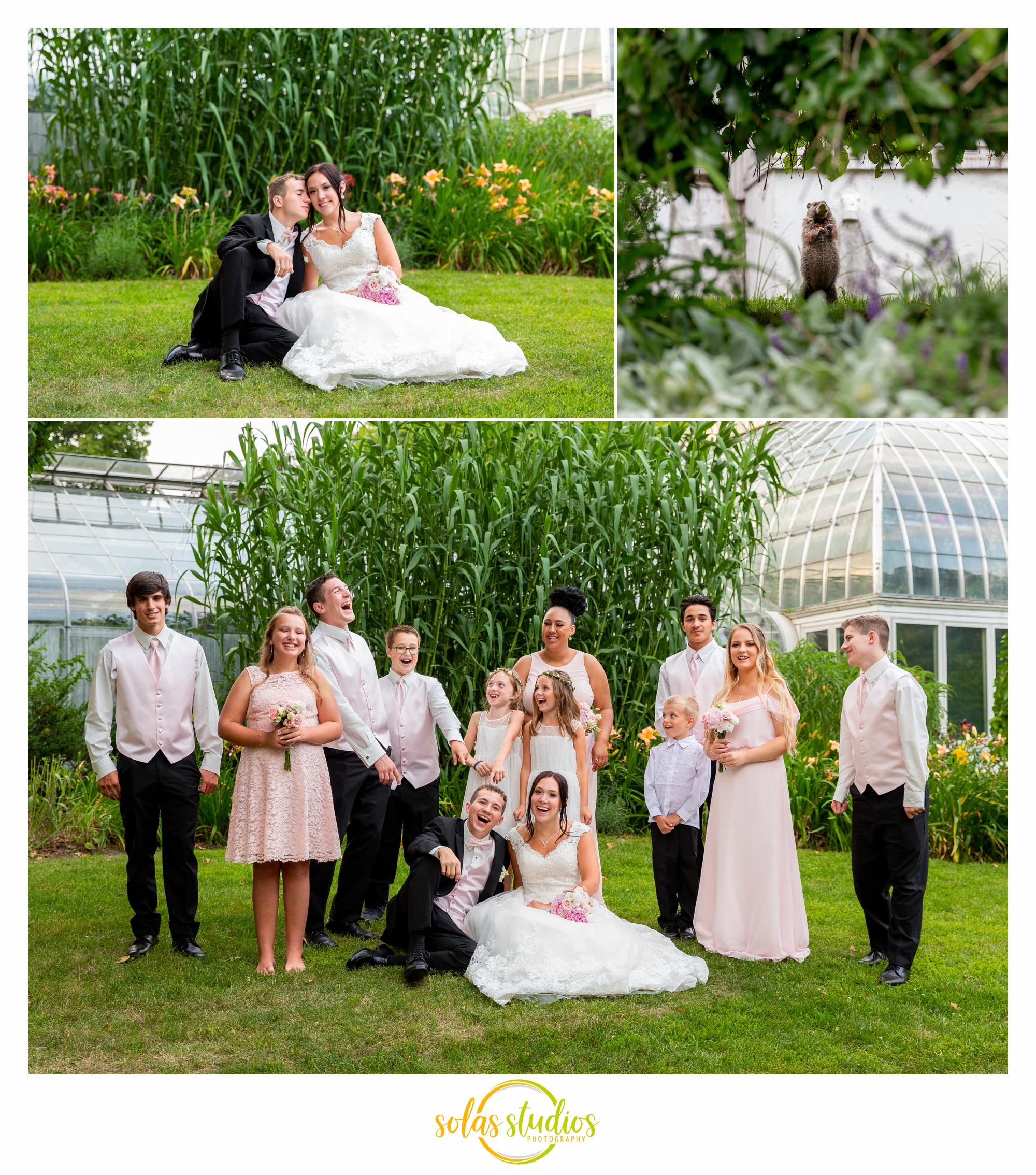 Olmsted Lodge Wedding, Rochester - Nikki & Hunter